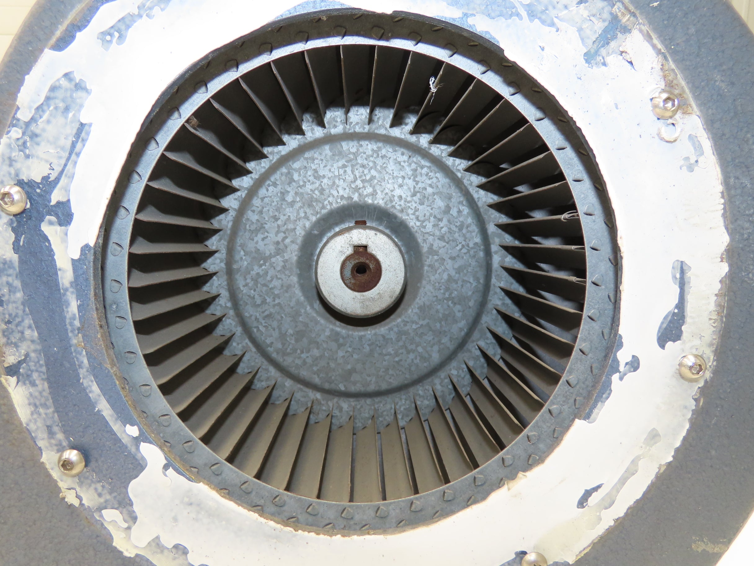 ABB 8x8" Squirrel Cage Blower Fan 2.5kw 3470rpm 230/460V 3PH Motor ...
